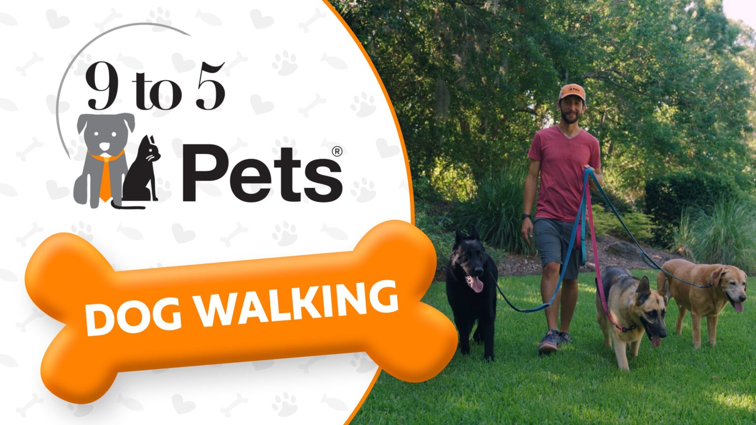 Dog Walking in Ponte Vedra Beach| 9 to 5 Pets