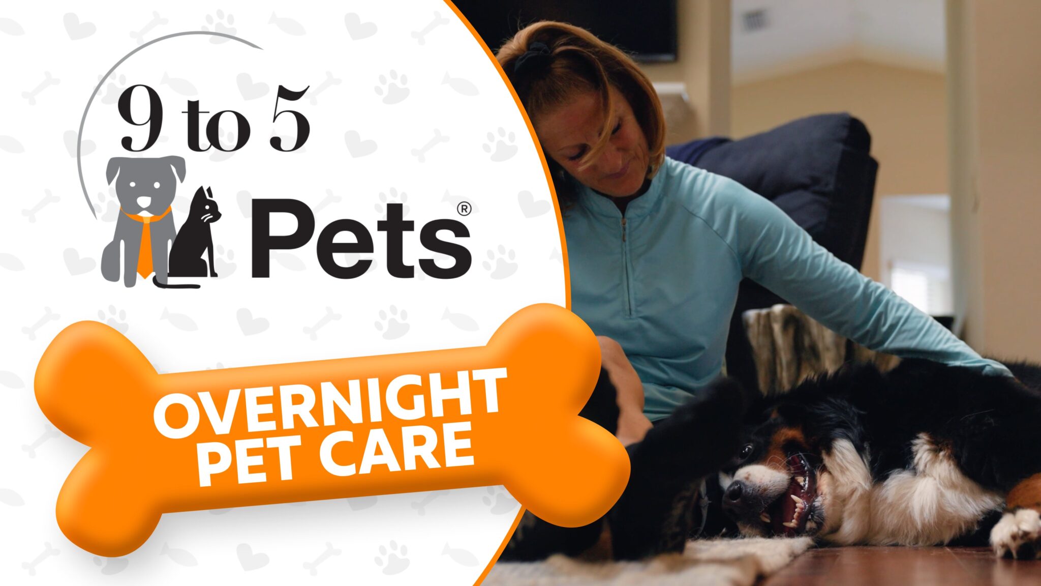 Overnight Pet Care & House Sitting in Jacksonville | 9 to 5 Pets